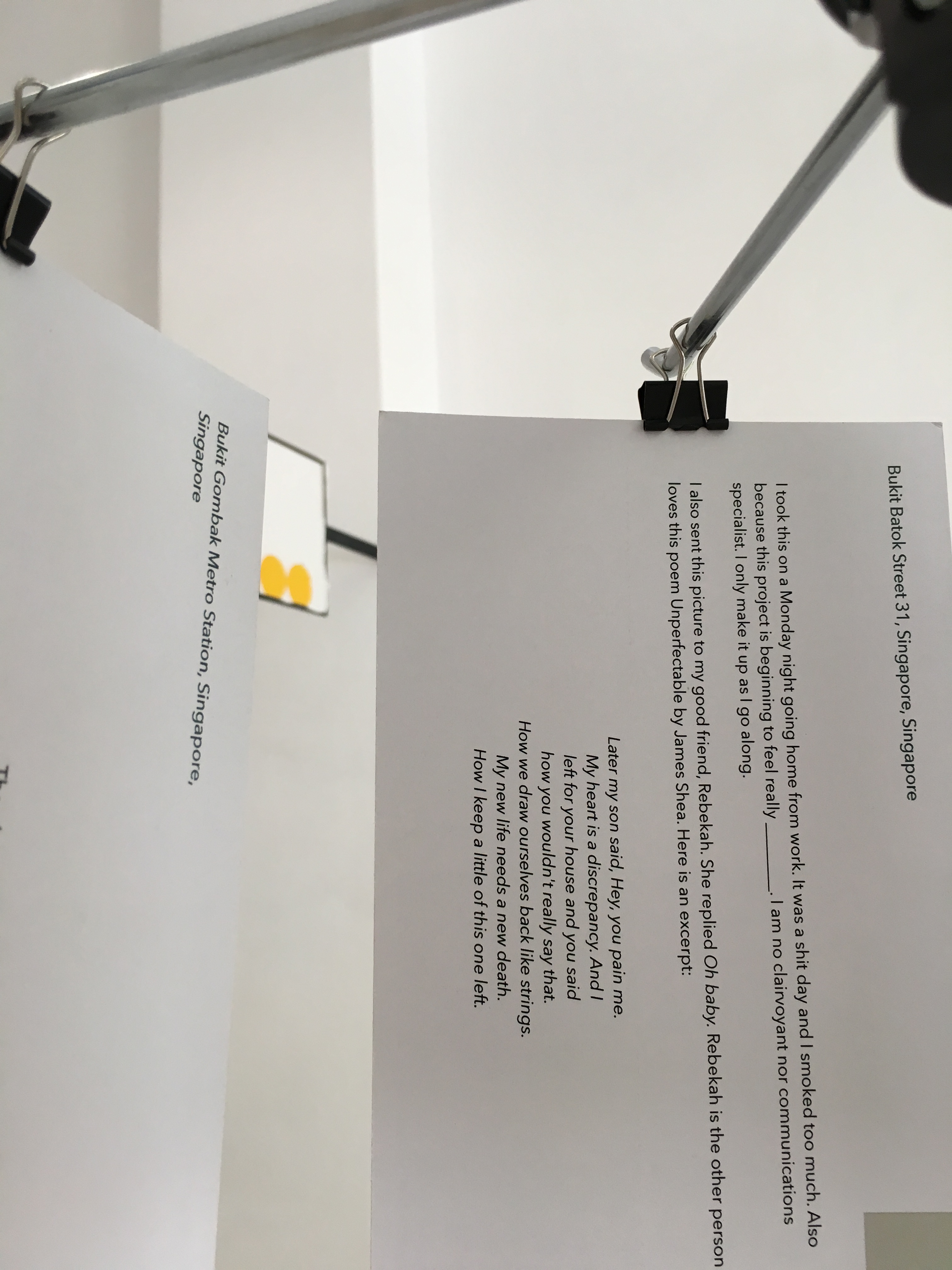 Research and Participation | Joey Chin