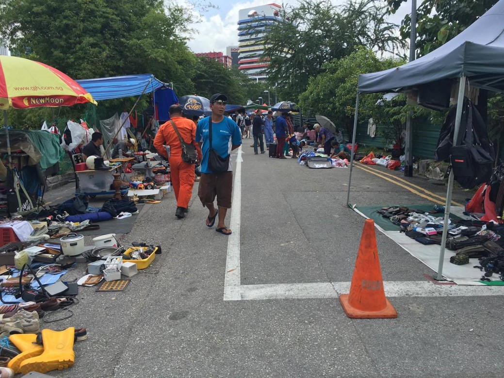 Research and Participation | Joey Chin