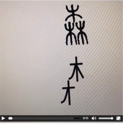 Research and Participation | Joey Chin